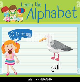 Flashcard letter S is for seagull Stock Vector Image & Art - Alamy