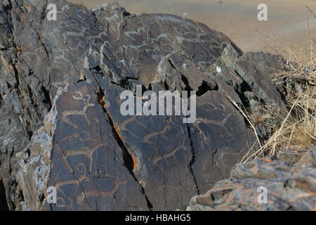 Pazyryk culture. Scythian Iron Age archaeological culture. 6th-3rd ...