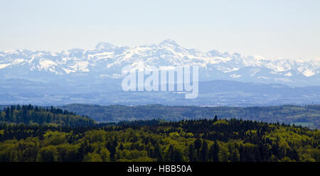 Lake Constance, Alps with Altmann and SÃ¤ntis Stock Photo - Alamy