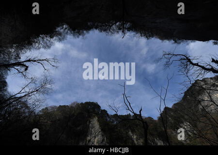 Hanzhong, China. 3rd Dec, 2016. Photo taken on Dec. 3, 2016 shows the ...