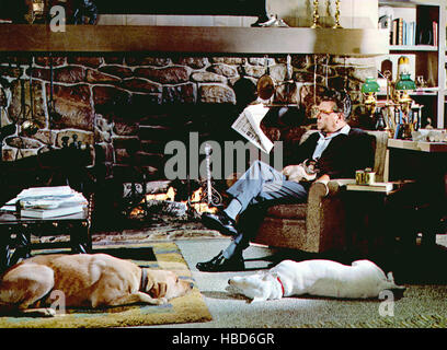 THE INCREDIBLE JOURNEY, Bodger the Bull Terrier, Luath the Labrador ...