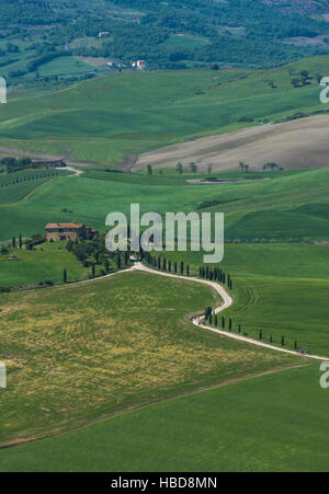 Typical Tuscan landscape with cypress, vineyards and farm houses Stock ...