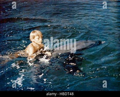 FLIPPER, (from left): Luke Halpin, Flipper, 1963 Stock Photo - Alamy