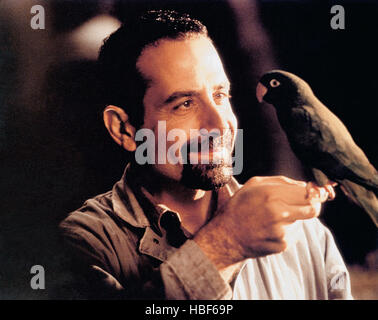 PAULIE, Paulie the parrot, 1998, © DreamWorks/courtesy Everett ...