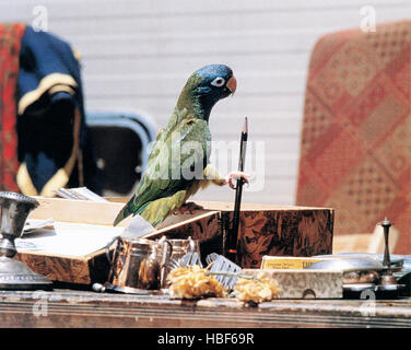 PAULIE, Paulie the parrot, 1998, © DreamWorks/courtesy Everett ...