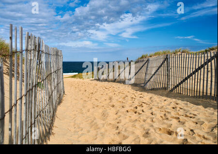 Path way to the beach at Cape Cod Stock Photo - Alamy