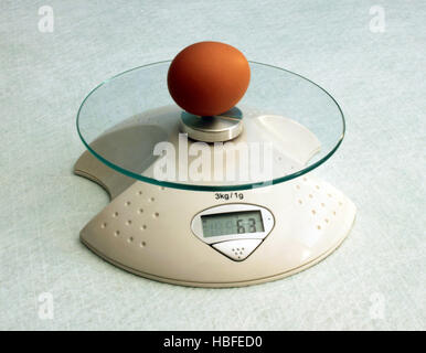 Chicken egg on the scales Stock Photo - Alamy