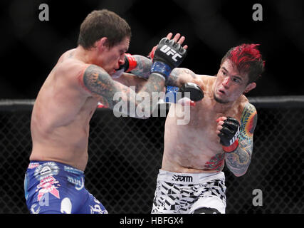 Scott Jorgensen, right, fights Jeff Curran during UFC 137 at the ...
