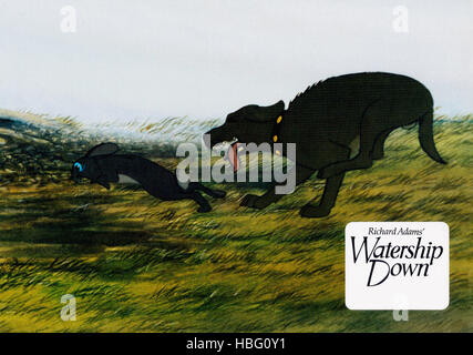 WATERSHIP DOWN, 1978, © Avco Embassy/courtesy Everett Collection Stock ...
