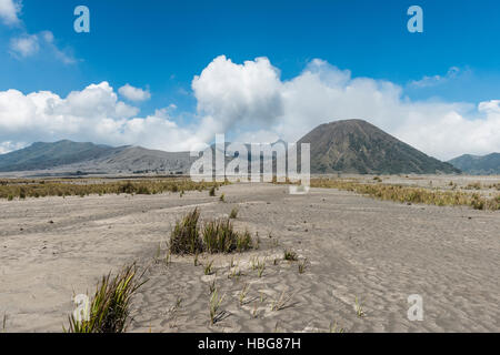 Bromo, Batok and Semeru volcanoes, Java island, Indonesia Stock Photo ...