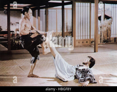 WHEN TAEKWONDO STRIKES, (aka TAI QUAN ZHEN JIU ZHOU, aka STING OF THE ...