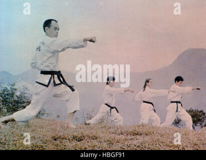 WHEN TAEKWONDO STRIKES, (aka TAI QUAN ZHEN JIU ZHOU, aka STING OF THE ...
