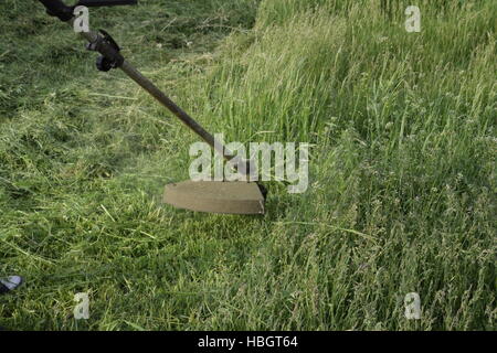 Mowing green grass using a fishing line trimmer. Application trimmers ...