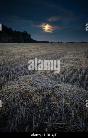 Moon over field in spring. Colorful evening sky with moon over fields ...