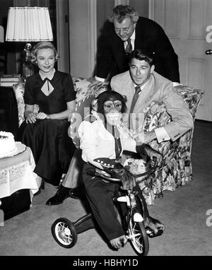 BEDTIME FOR BONZO, Ronald Reagan, Bonzo, Diana Lynn, 1951 Stock Photo ...