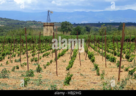 France, Cote d'Or, cultural landscape of Burgundy climates listed as ...