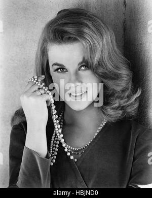 BUS RILEY'S BACK IN TOWN, Michael Parks, 1965 Stock Photo - Alamy