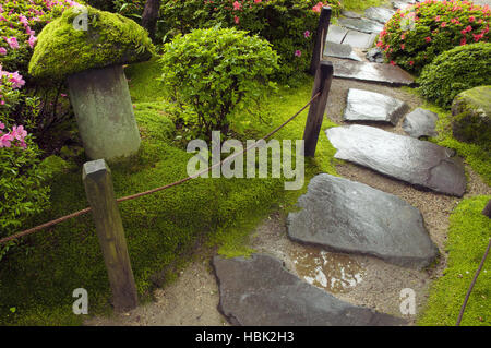 Wet stone steps among fresh green plants in Japanese zen garden Stock ...