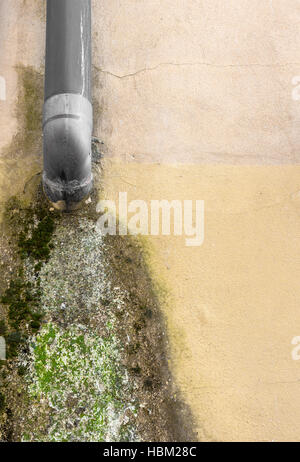 Mold on a white wall. Damaged wall texture due to fungus and moisture ...