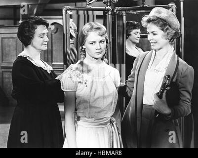 THE DARK AT THE TOP OF THE STAIRS, Shirley Knight, Lee Kinsolving, 1960 ...