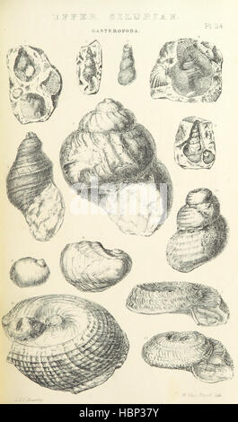Image from 'Siluria,' detailing the history of the oldest known rocks ...
