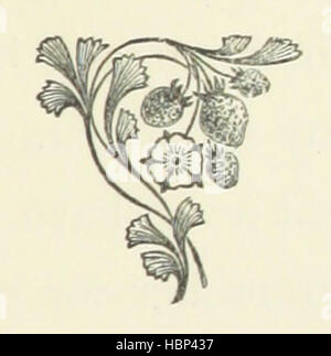 Image taken from page 227 of 'Album géographique', showing a detailed ...