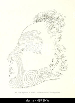 The illustration depicts Maori tattooing, showing patterns, facial ...