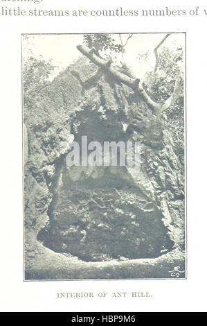 Illustration from 'In Dwarf Land and Cannibal Country', depicting ...