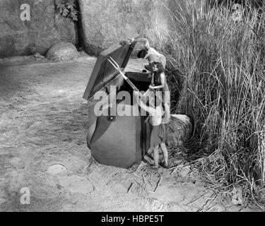 DR. CYCLOPS, Janice Logan, 1940 Stock Photo - Alamy