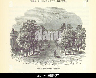 This image depicts Cheltenham, showing gardens, Georgian architecture ...