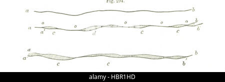Image taken from page 656 of 'The Oxford Thackeray'. An image from the ...