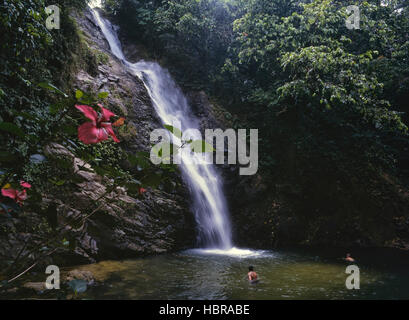 The Biausevu waterfall (also known as Savu Na Mate Laya Falls) near ...