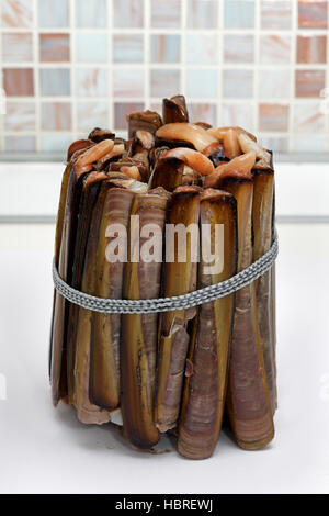 Bundle of fresh raw razor shells on white background Stock Photo - Alamy