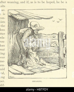 A page illustrating New Colorado and the Santa Fe Trail, showing ...