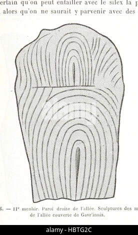 Les premiers hommes et les temps préhistoriques ... Avec 12 planches et ...