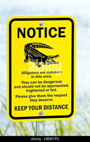 Caution Sign with Alligator Warning and Swamp Background no swimming ...