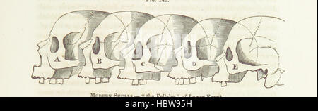 An illustration from page 281 of 'Types of Mankind,' showcasing the ...