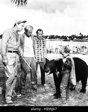 GENTLE GIANT, Clint Howard, 1967 Stock Photo - Alamy