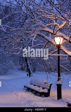 Atmosphere of Central Park on this snowy Saturday morning in New York ...
