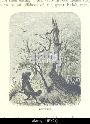 The image depicts explorers’ journey in Africa, showing landscapes ...