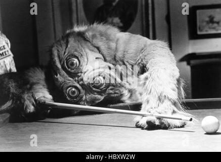 HYPER SAPIEN: PEOPLE FROM ANOTHER STAR, right: Ricky Paull Goldin, 1986 ...