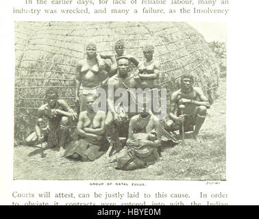 The image depicts the Colony of Natal, showing towns, railways ...