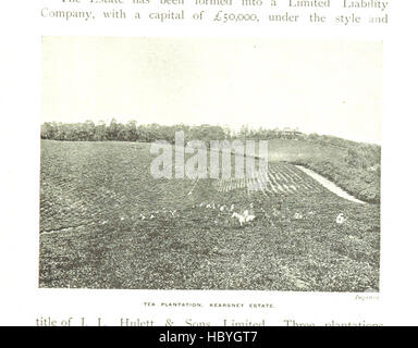 The image depicts the Colony of Natal, showing towns, railways ...