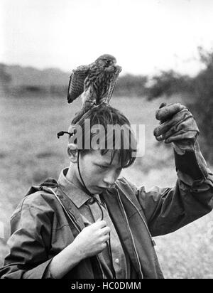 KES, David Bradley, 1969 Stock Photo - Alamy