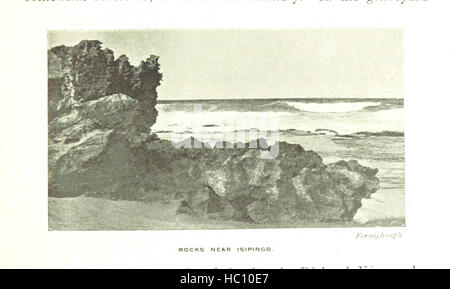 The image depicts the Colony of Natal, showing towns, railways ...