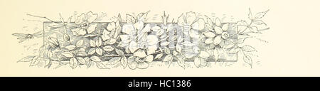 This illustration from 'Fife: Pictorial and Historical' depicts castles ...