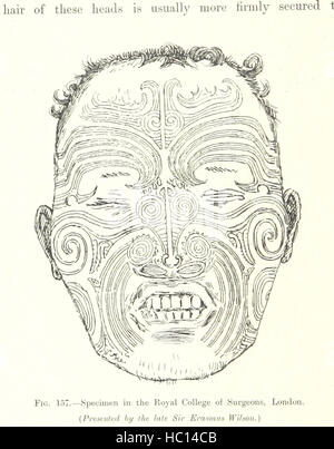 The image depicts traditional Maori tattooing practices, showing ...