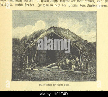 A detailed study of various human races across the globe, examining ...