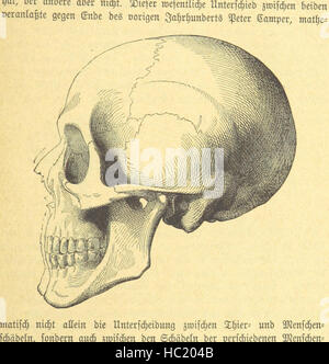 Cover of the book 'Der Mensch und seine Rassen' featuring illustrations. Further context is ...