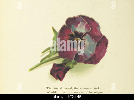 Precious Thoughts from Keble. [With coloured illustrations.] Image ...